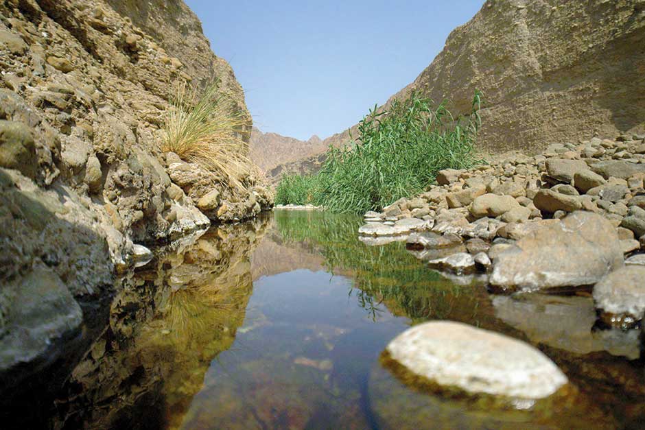 Wadi-Wurayah-Fujairah-Gulf-News